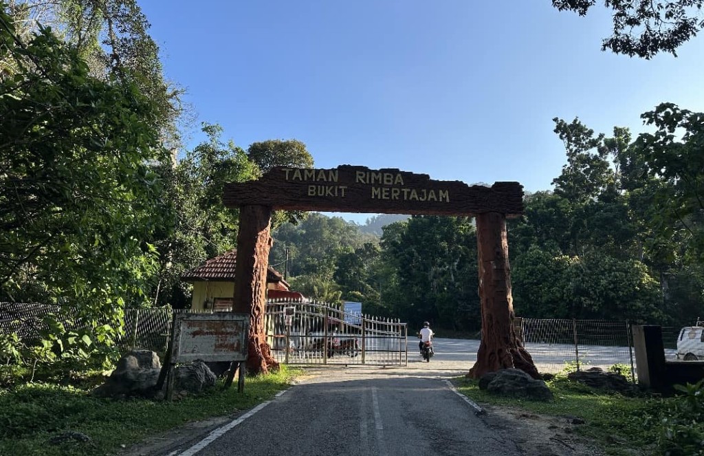 Taman Eko Rimba in Bukit Mertajam welcomes visitors after two years of ...
